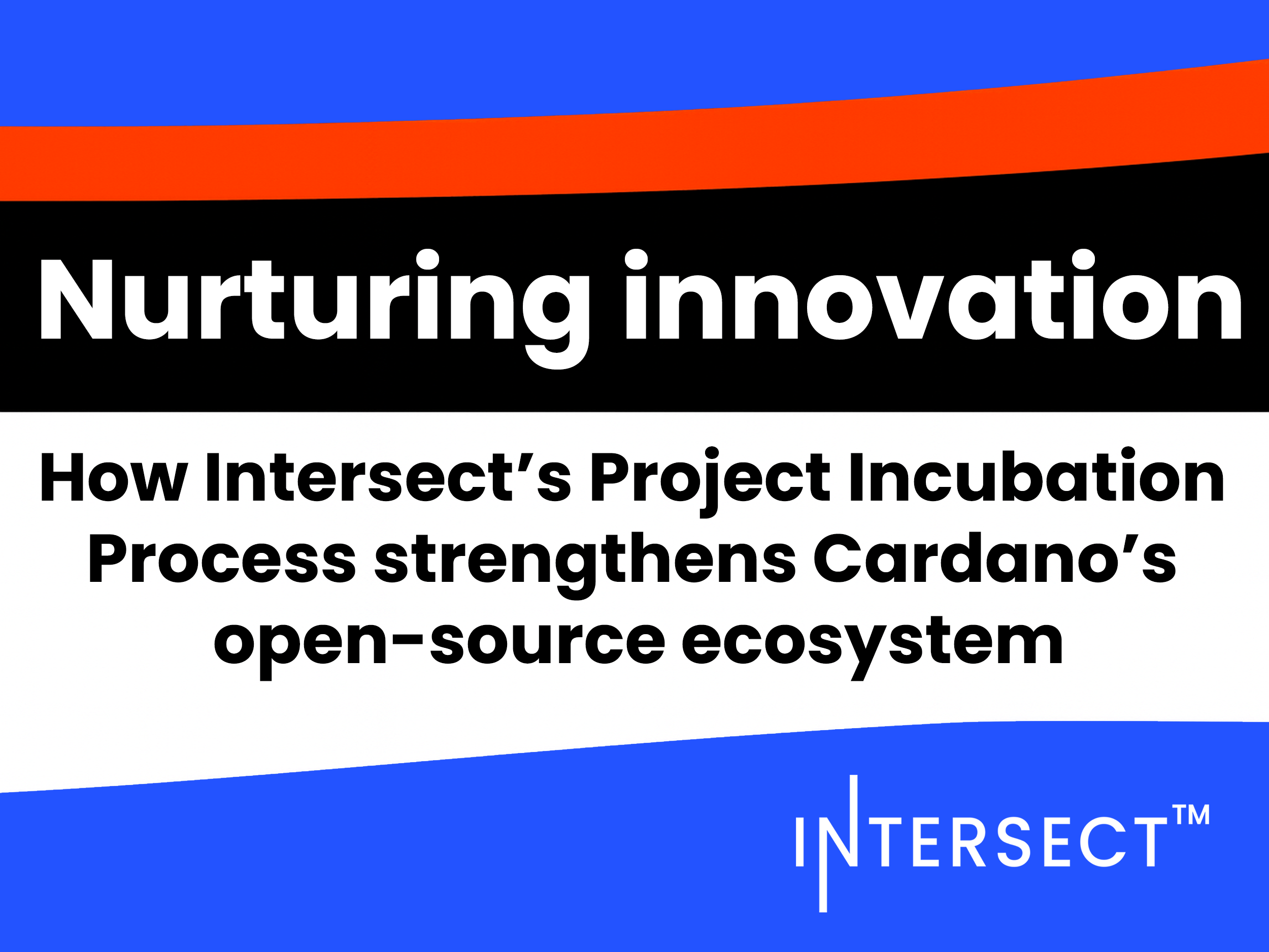 Nurturing innovation: how Intersect’s project incubation process ...